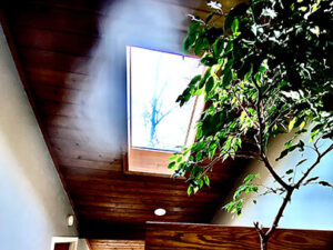 Skylights & Sun Tunnels - Tri County Windows and Siding